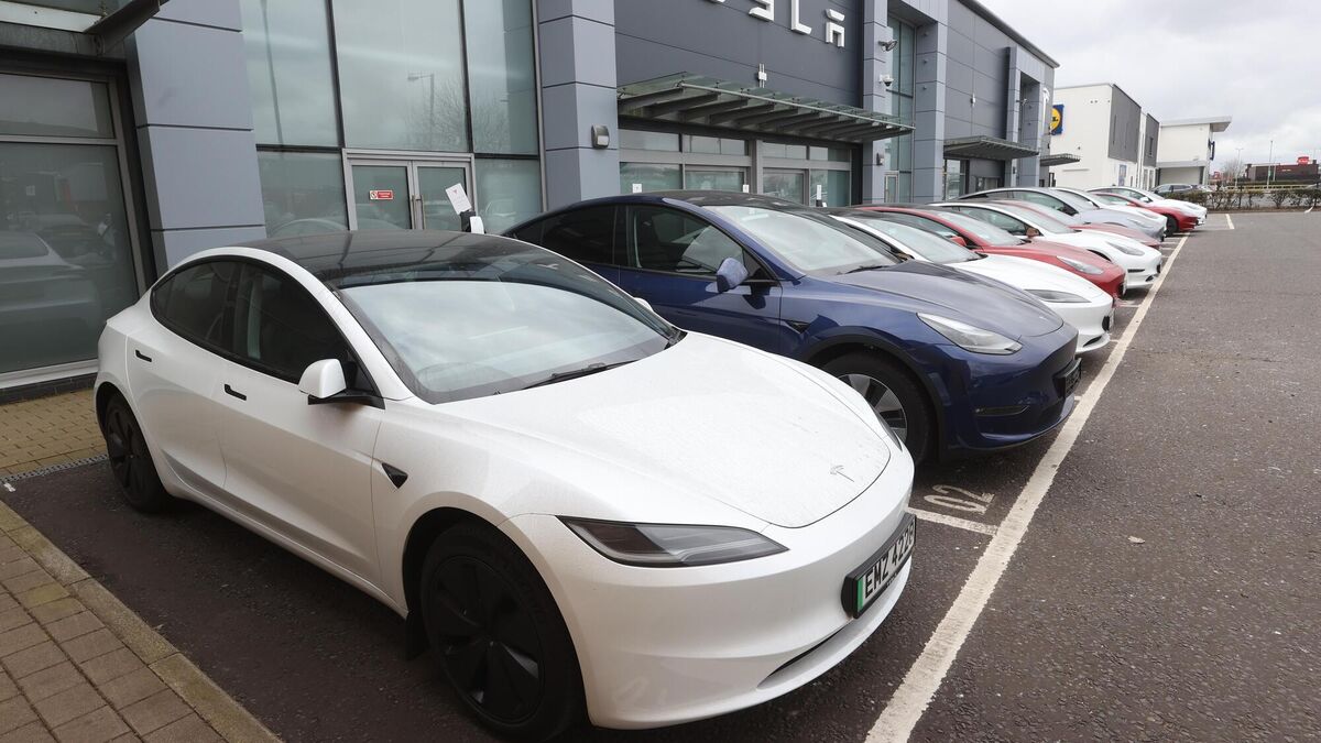 Tesla sales surge 32% in Munster but slide in Dublin