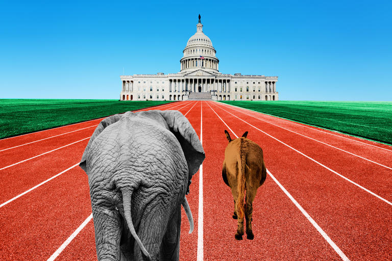 Democrats work to transcend weak party brand by exploiting Trump's problems