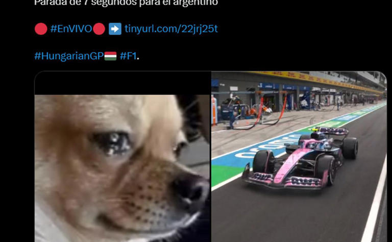 Los mejores memes de la carrera de Franco Colapinto en el GP de Hungría ...