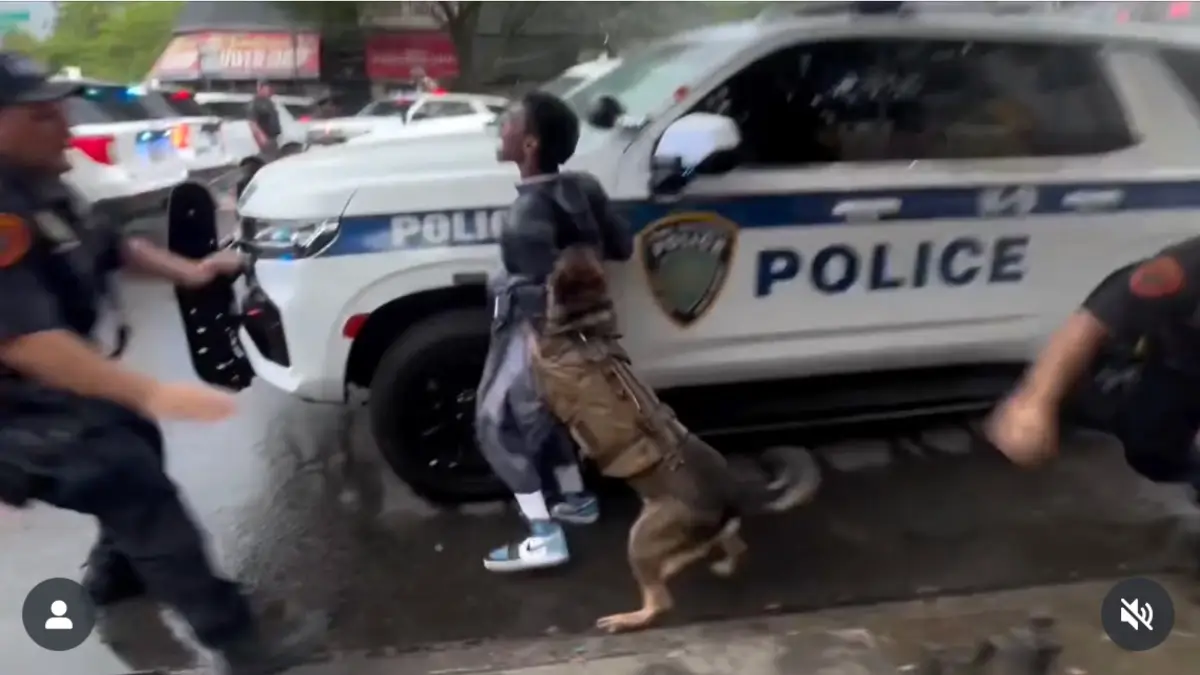 'So This Video Said a WHOLE LOT’: New York Police Dog Skips Crowd, Attacks Darked-Skinned ...