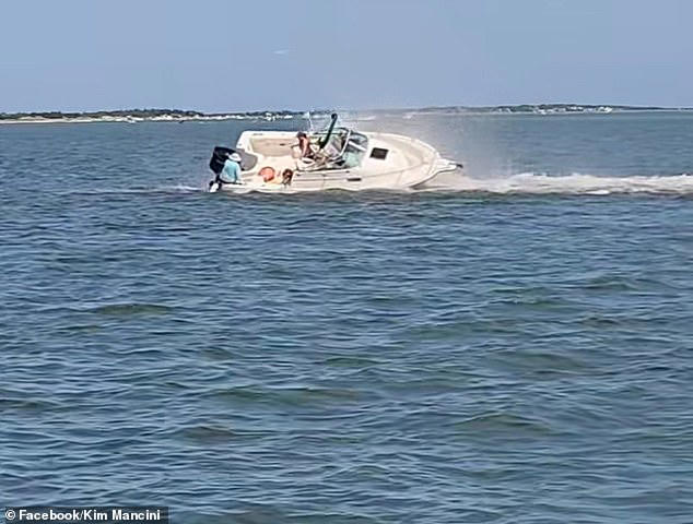 Whale is killed in New Jersey waters after boat crashes into it ...
