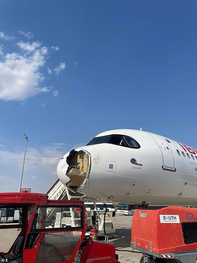 Terrifying pictures show huge damage to front of Airbus struck by bird ...