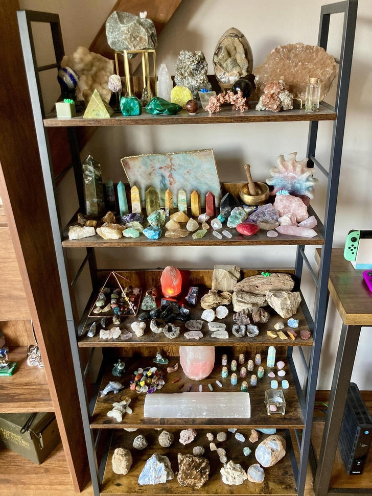 15+ People Whose Collections Are Anything but Boring