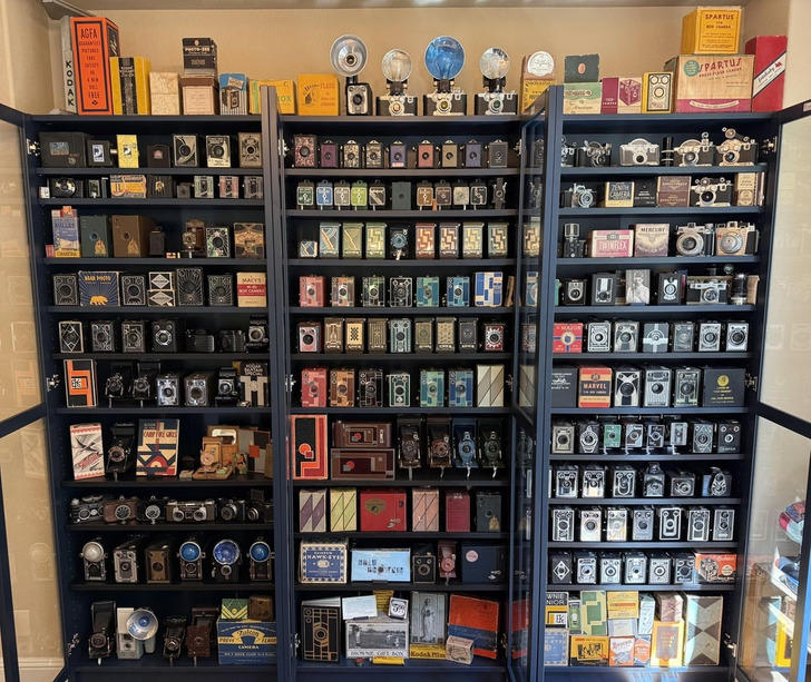 15+ People Whose Collections Are Anything but Boring
