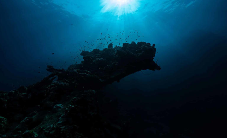 Meet Jormungander: The Ancient ‘Sea Dragon’ With Angry Eyebrows That ...