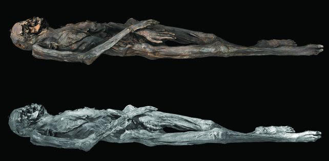 Frozen For 2,000 Years: The Mysterious Tattooed Mummy That Stunned ...