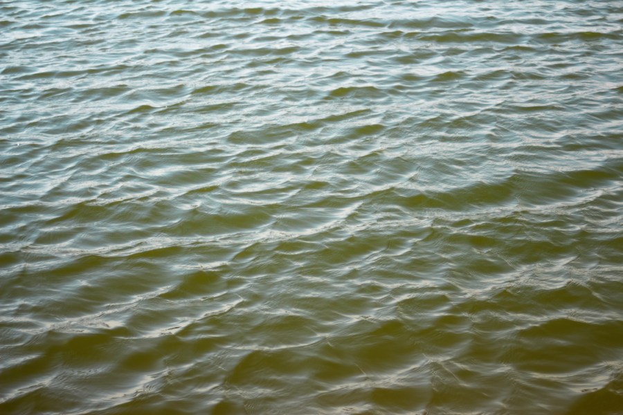 Body recovered in Mississippi River: Officials