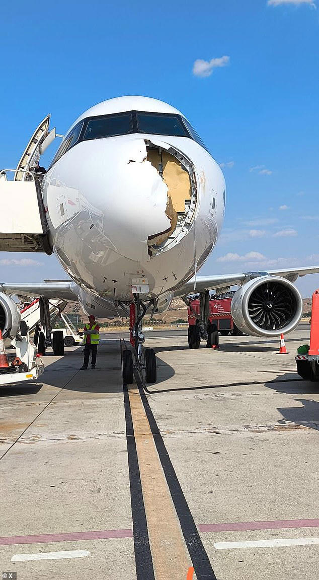 Terrifying pictures show huge damage to front of Airbus struck by bird ...