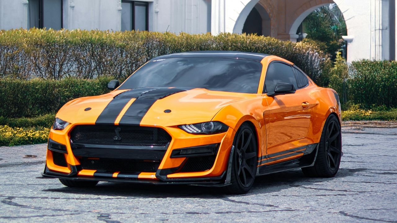 Wild Mustangs that show Ford never held back