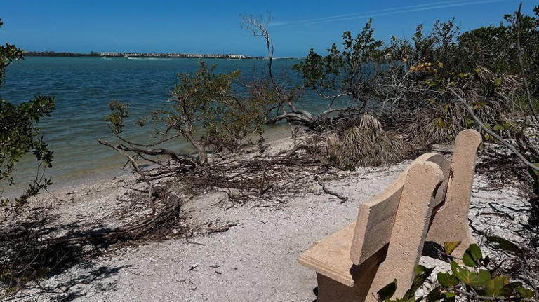 Nestled Between Tampa And Fort Myers Is Florida's Gulf Coast Hamlet ...