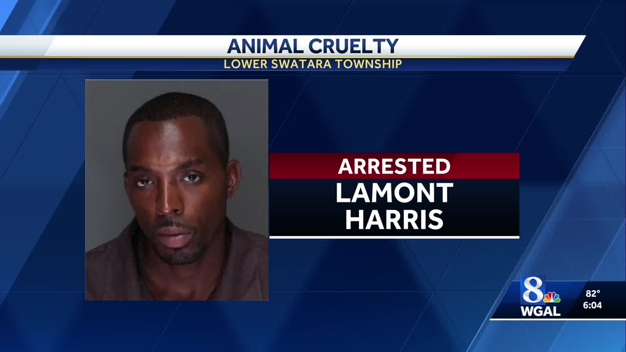 Man arrested in New York in connection with animal cruelty investigation