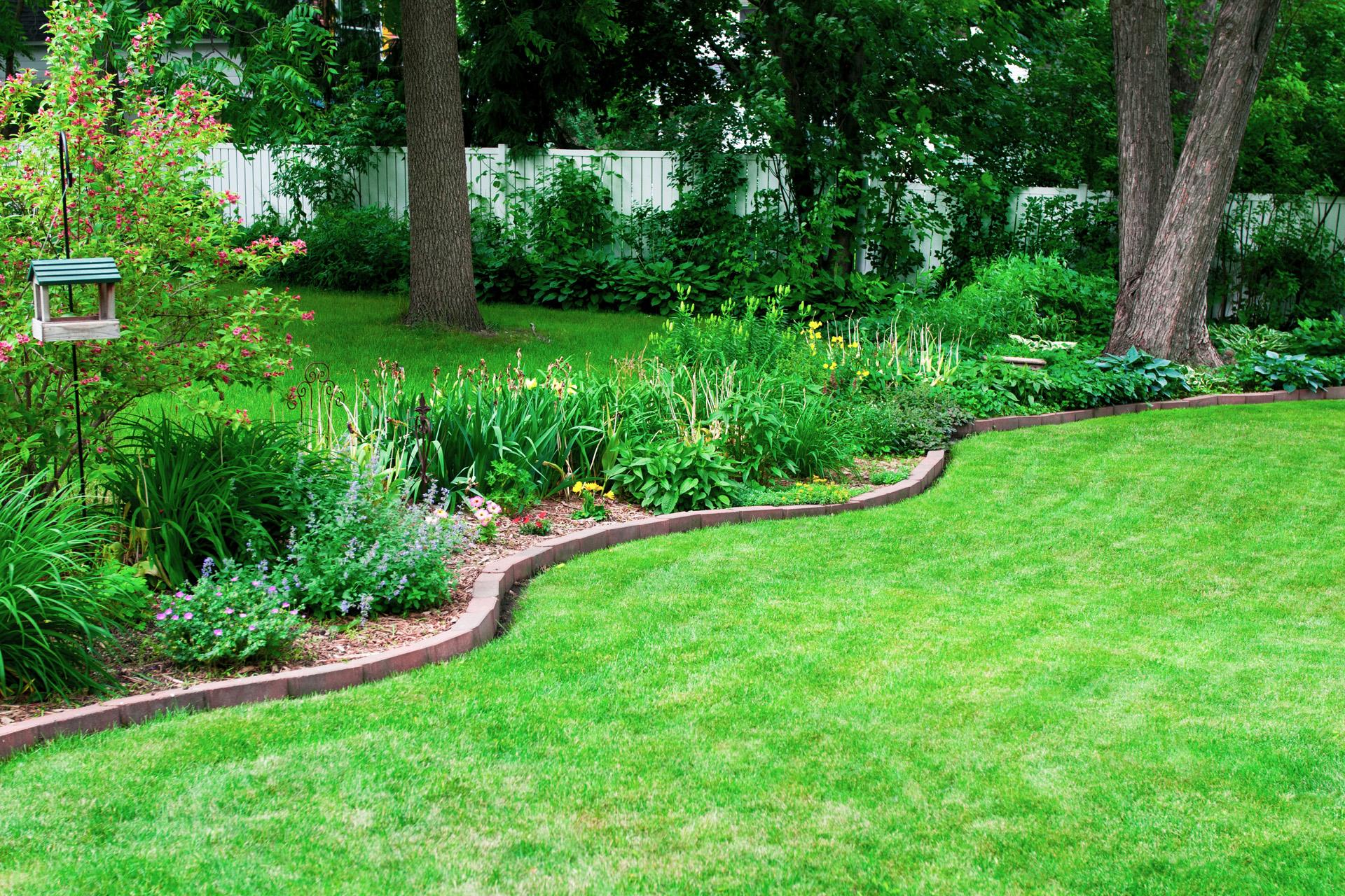 Cómo crear un borde natural para tu jardín: ideas, materiales y diseño