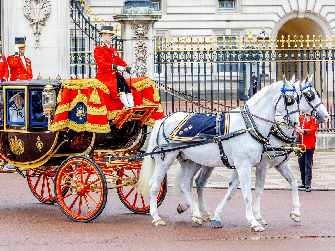 Royal Family Bids Farewell to Tyrone as He Enters Retirement