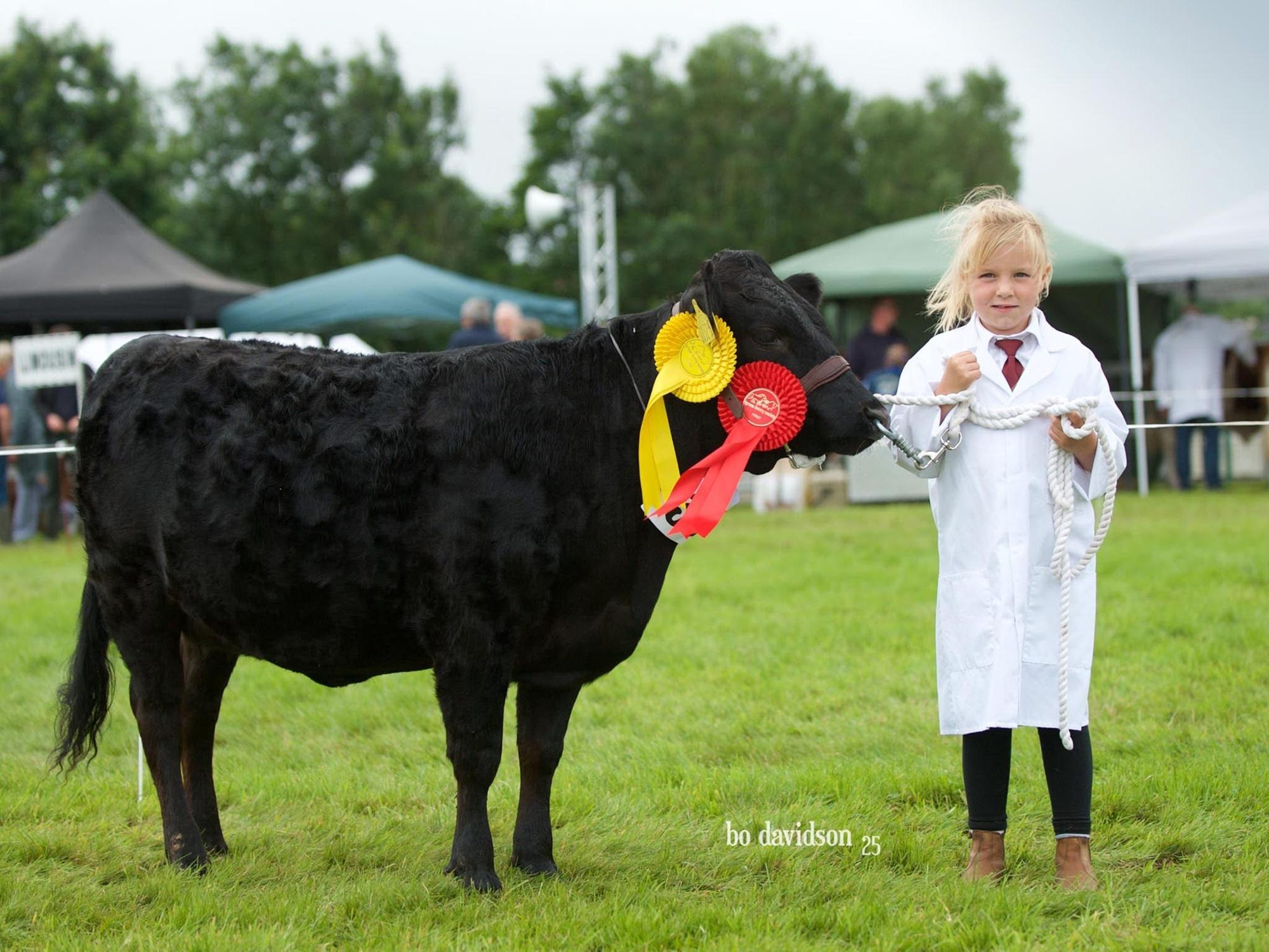 Ballyhartfield Barua claims Championship at Omagh Show