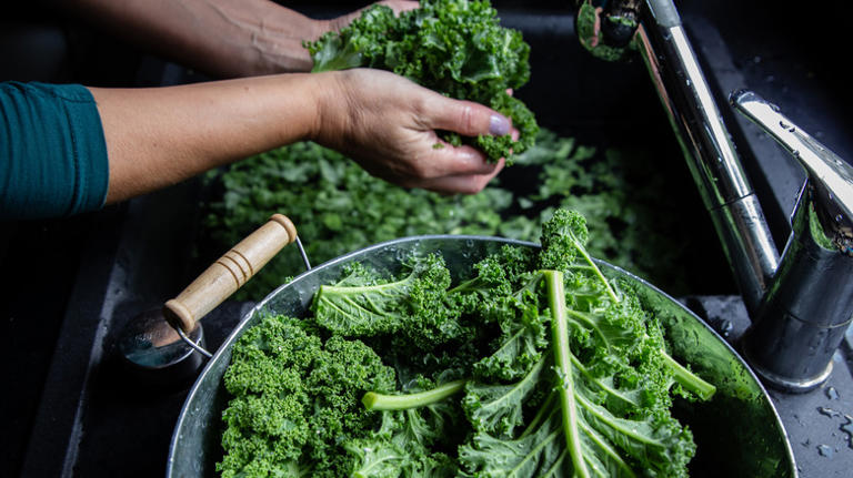 Avoid Bitter-Tasting Kale By Rinsing It Twice. Here's Why It Works