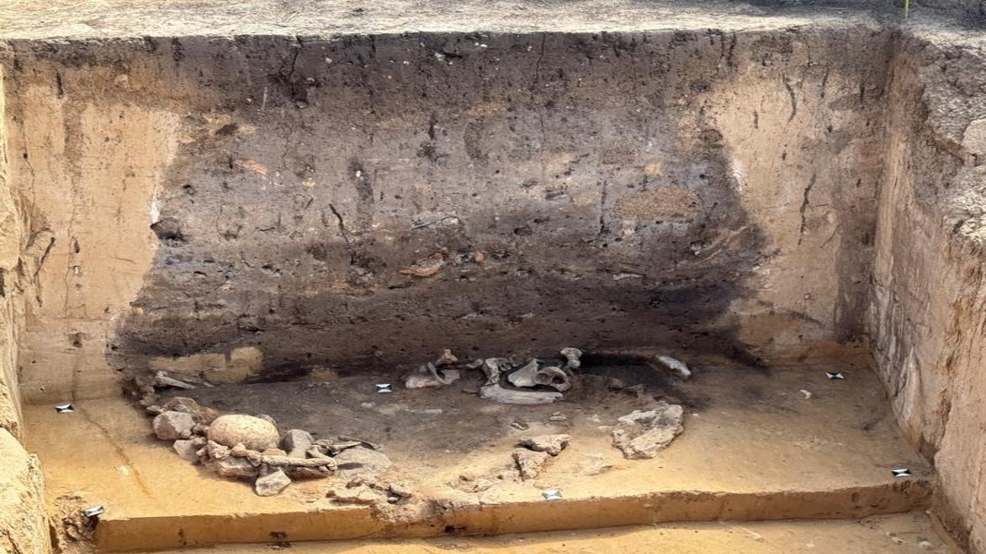 5,000-year-old pits discovered in Germany reveals haunting Neolithic ...