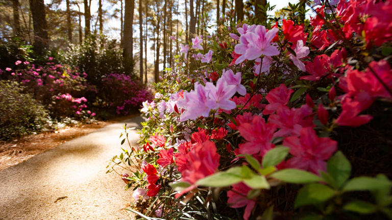 The Oldest City In Texas Is A Friendly Charmer With Natural Beauty ...