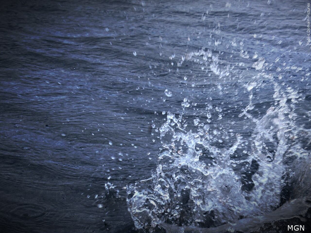 Springfield closes Bass Pond due to bacteria levels