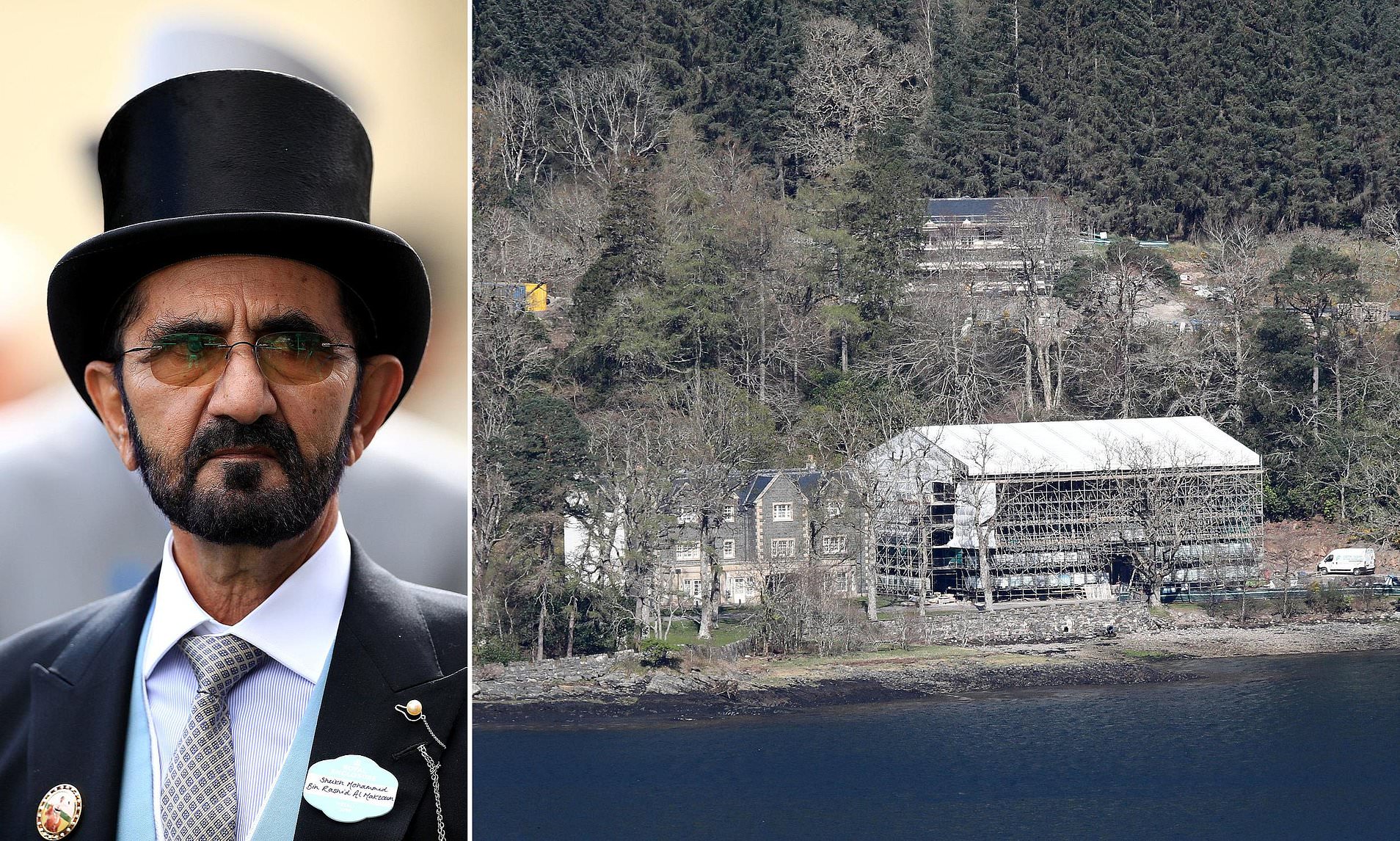 Could Sheikh feel the heat over solar panels at his 63,000-acre ...