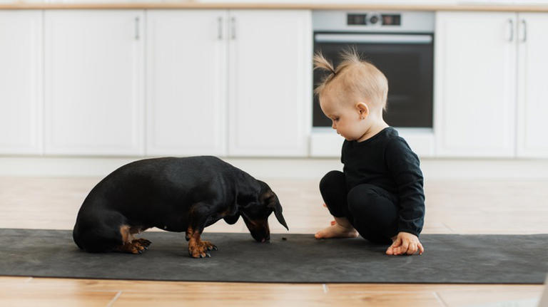 The Hack For Keeping Your Kitchen Floors Dry And Stylish Is So Simple