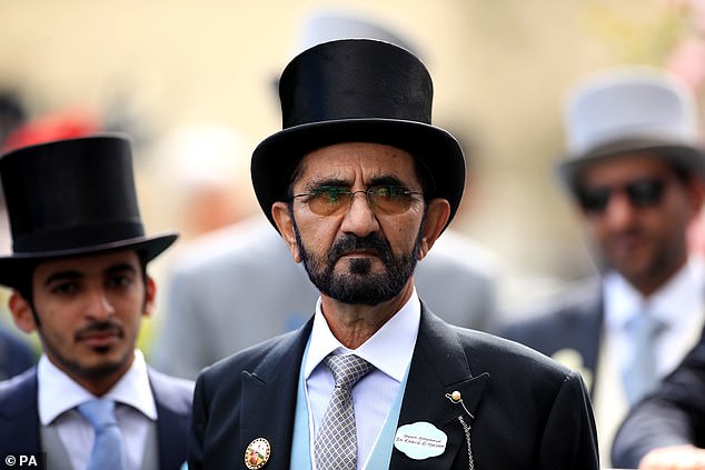Could Sheikh feel the heat over solar panels at his 63,000-acre ...
