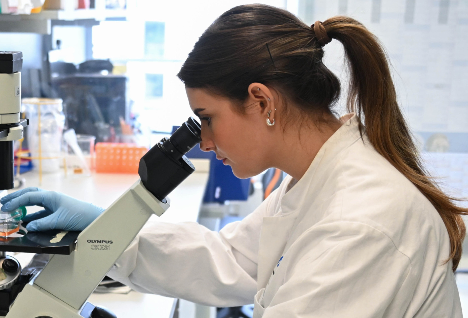 The 30 most terrifying parasitic diseases in the world