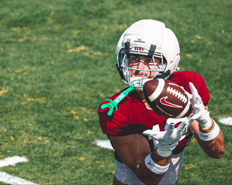 Alabama's tight end newcomers are elevating the offense as DeBoer and ...