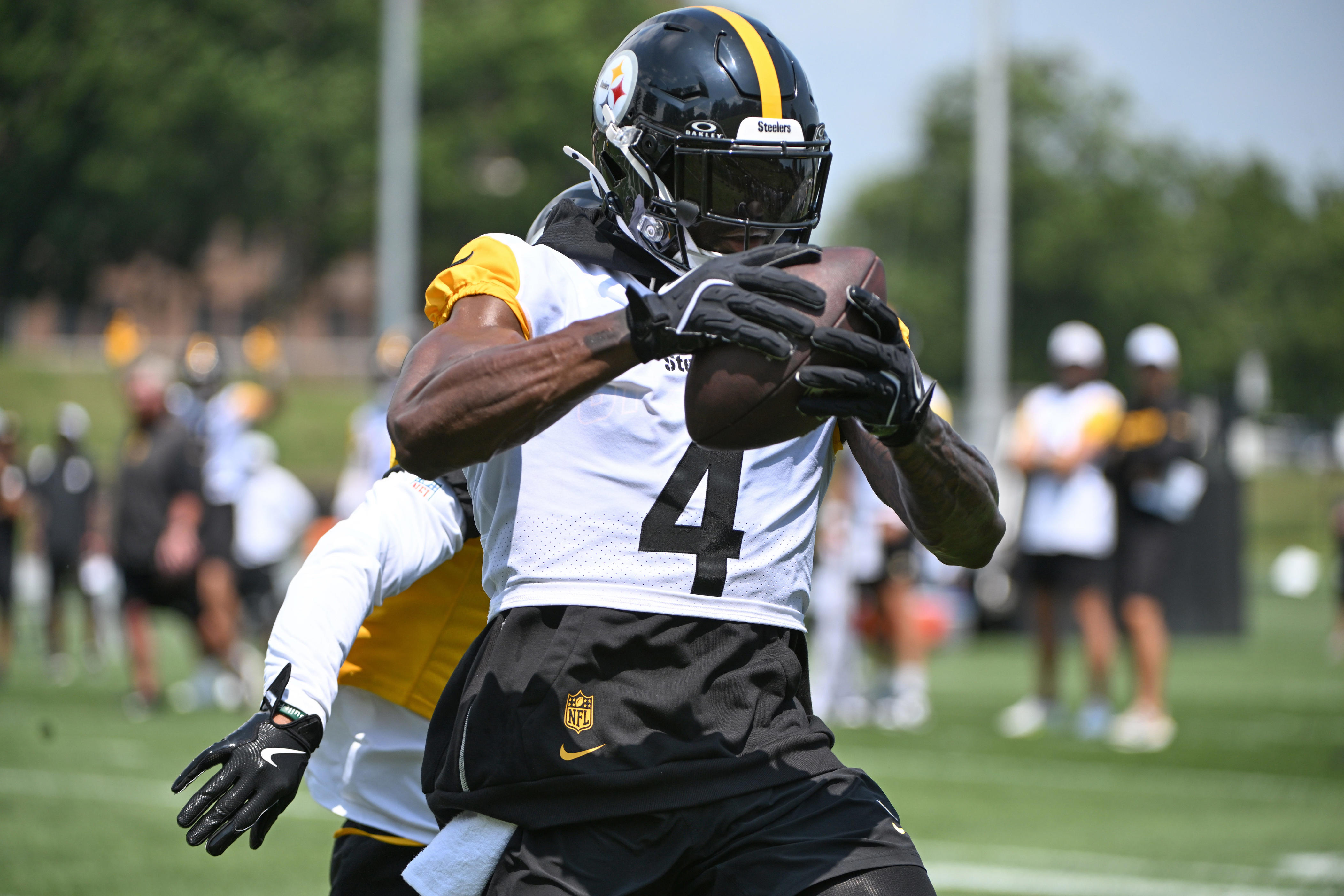 Wild training camp picture of Steelers WR DK Metcalf goes viral