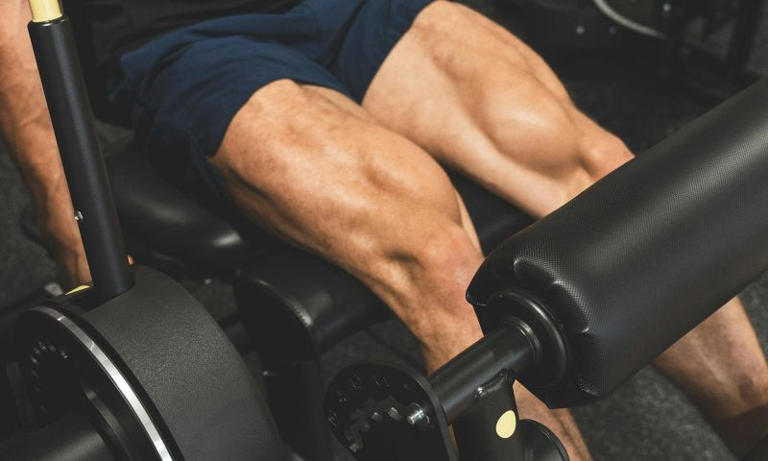 Are workout splits or full-body training better for fat loss ...