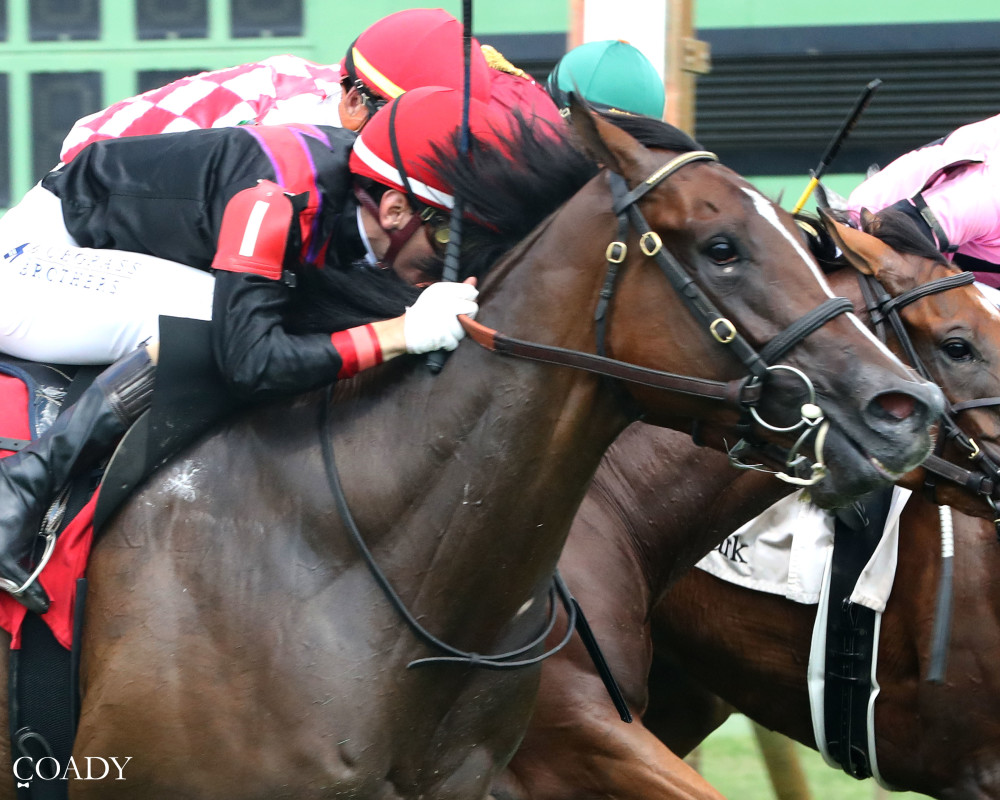 Simply In Front Prevails In Six-Horse Photo In Ky Downs Preview Ladies ...