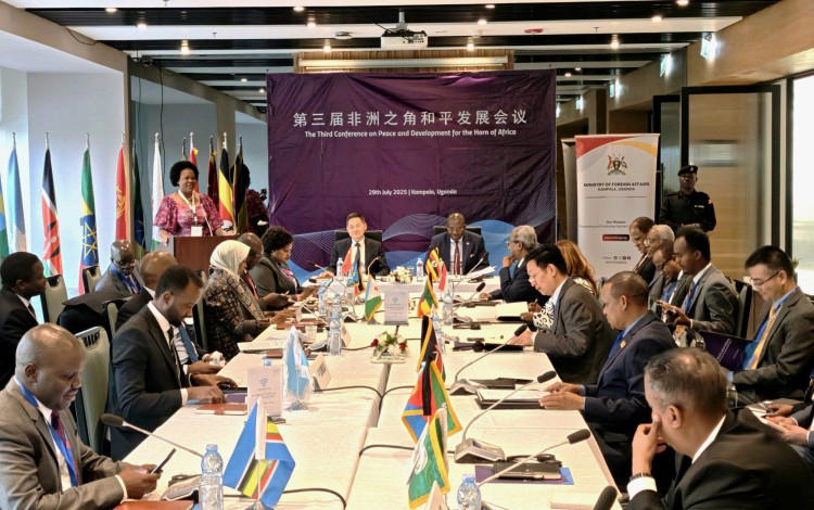 China pledges support for peaceful development in Horn of Africa