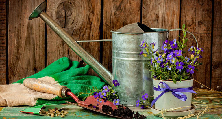 Cómo eliminar malas hierbas correctamente: guía completa y práctica