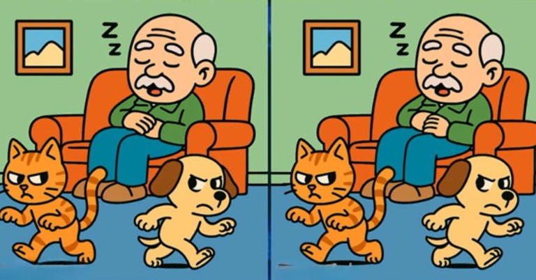 Spot the 3 Differences in Old Man Sleeping on Sofa Beat the 19-Second Challenge!