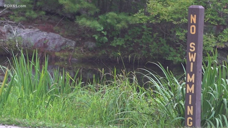 Person dies after drowning at Bigelow Hollow State Park in Union: DEEP