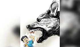 Delhi’s stray dog siege