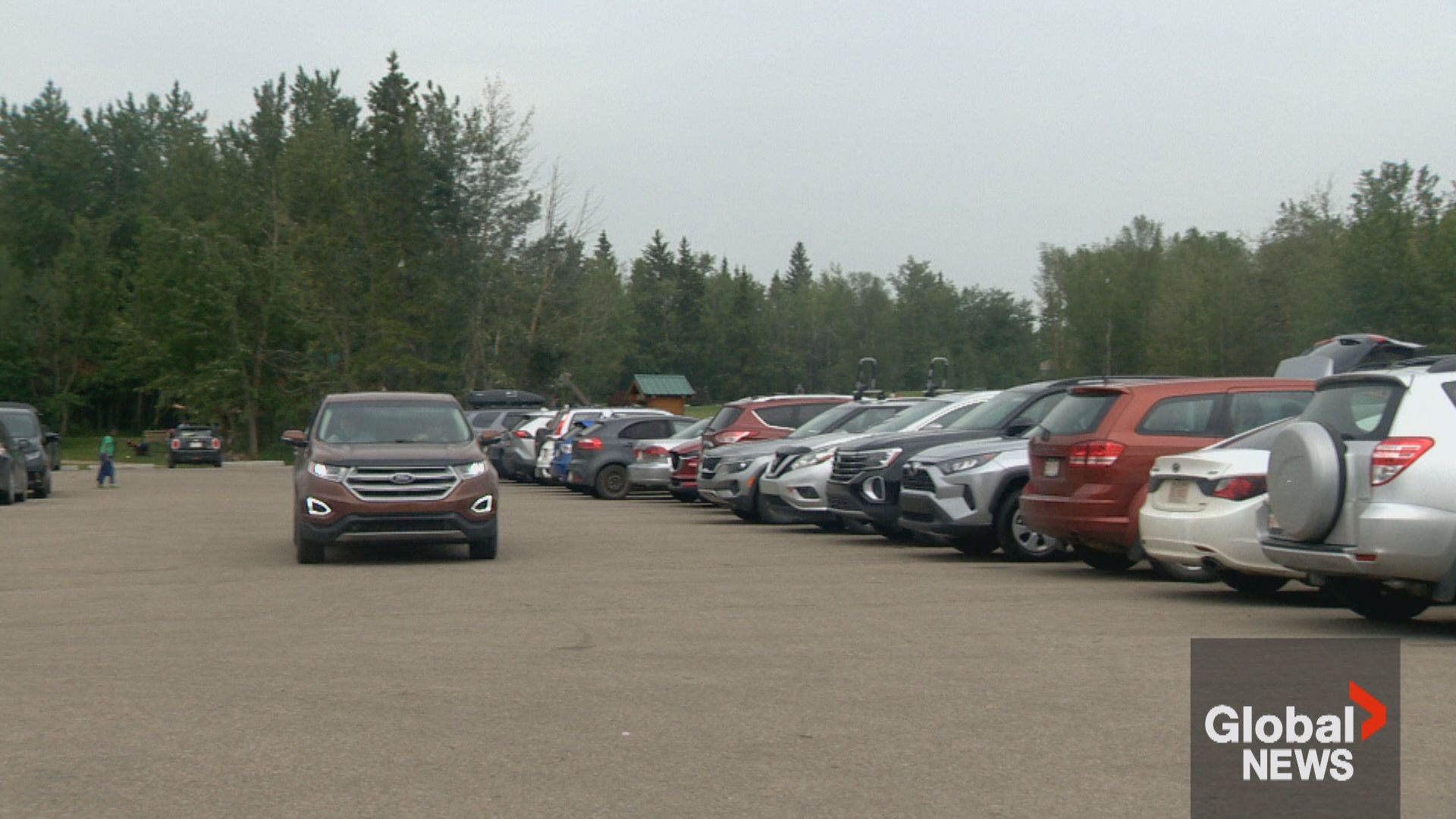 ‘Very busy’: Elk Island National Park exceeding capacity due to pass ...