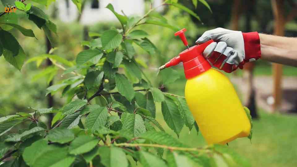 Why Are There No Worms in Your Soil? Here’s the Surprising Reason