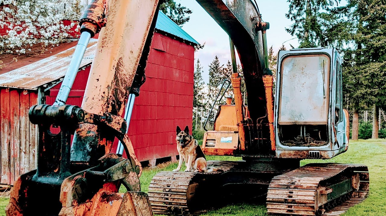 Handling a broken excavator: Transport and cleaning