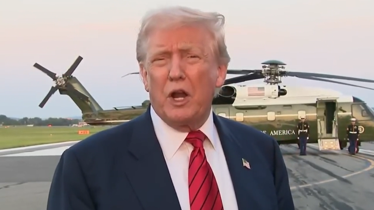 'We're The Only Country': Donald Trump Disrespects Allies By ...