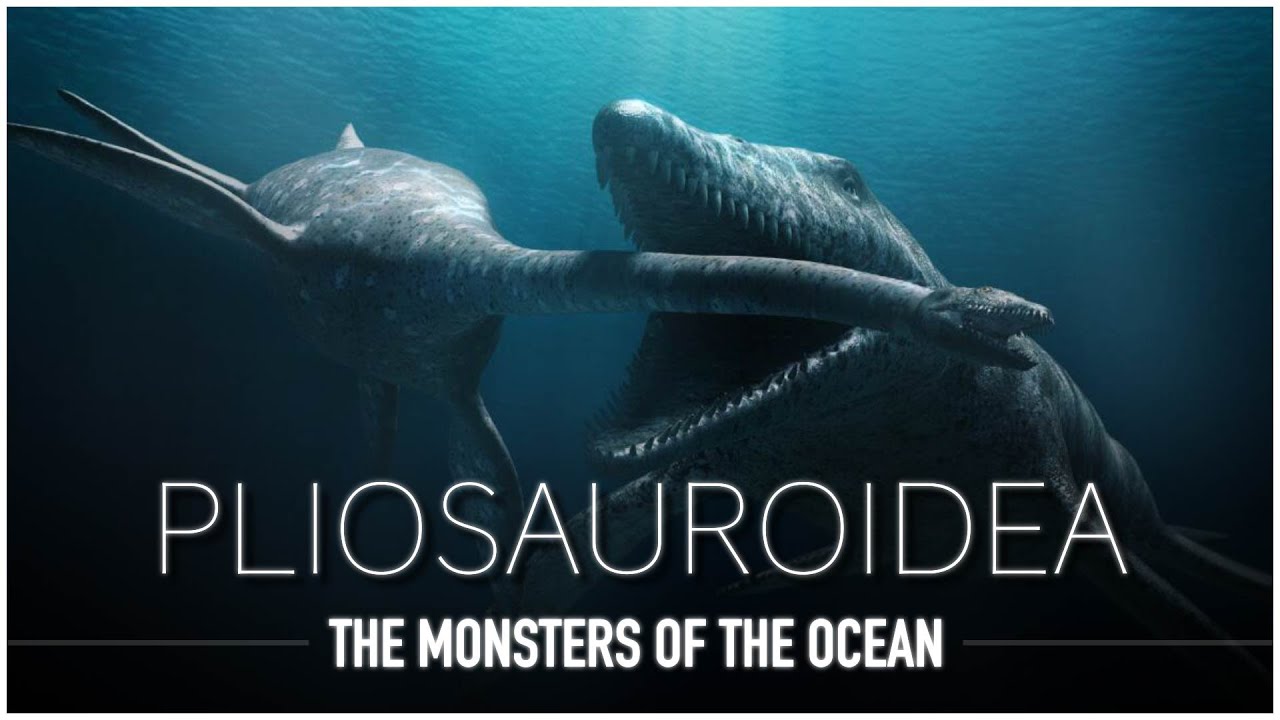 Pliosauroidea; HUGE Pre-Historic Sea Monsters of The Ocean | Dinosaur Documentary