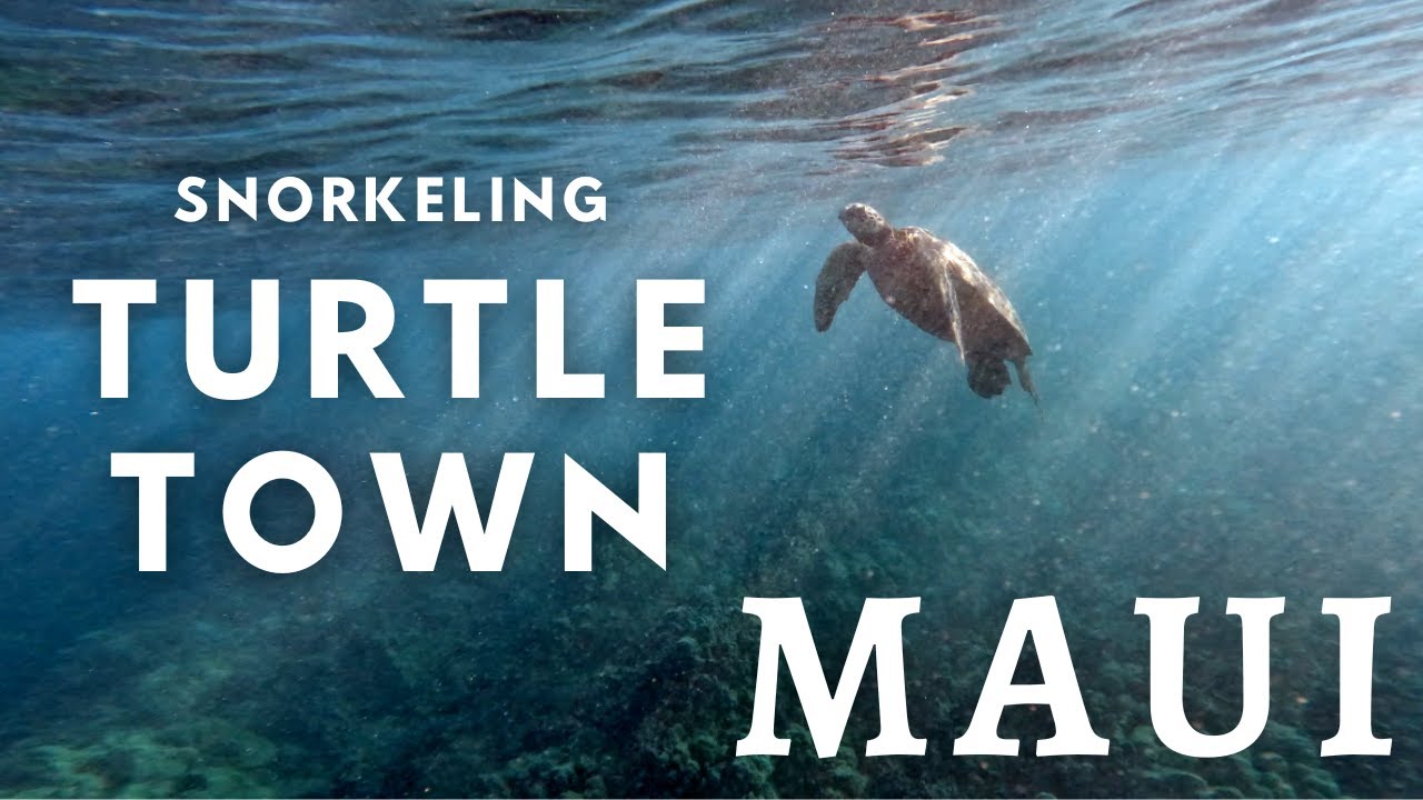 Snorkeling at Turtle Town in Maui