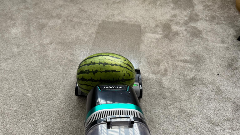 People are putting watermelons on their vacuums — here's why it's (sort ...