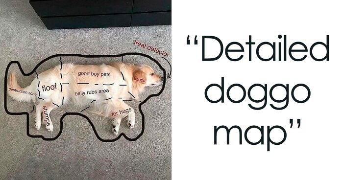 “Terrible Maps”: 27 Maps That Are So Bad, It’s Funny (New Pics)