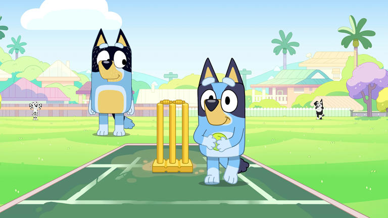 Researchers watched 150 episodes of Bluey. Here’s what they found