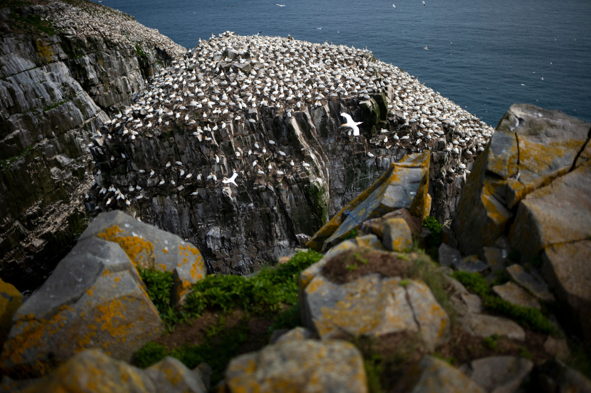 These are the windiest places on the planet