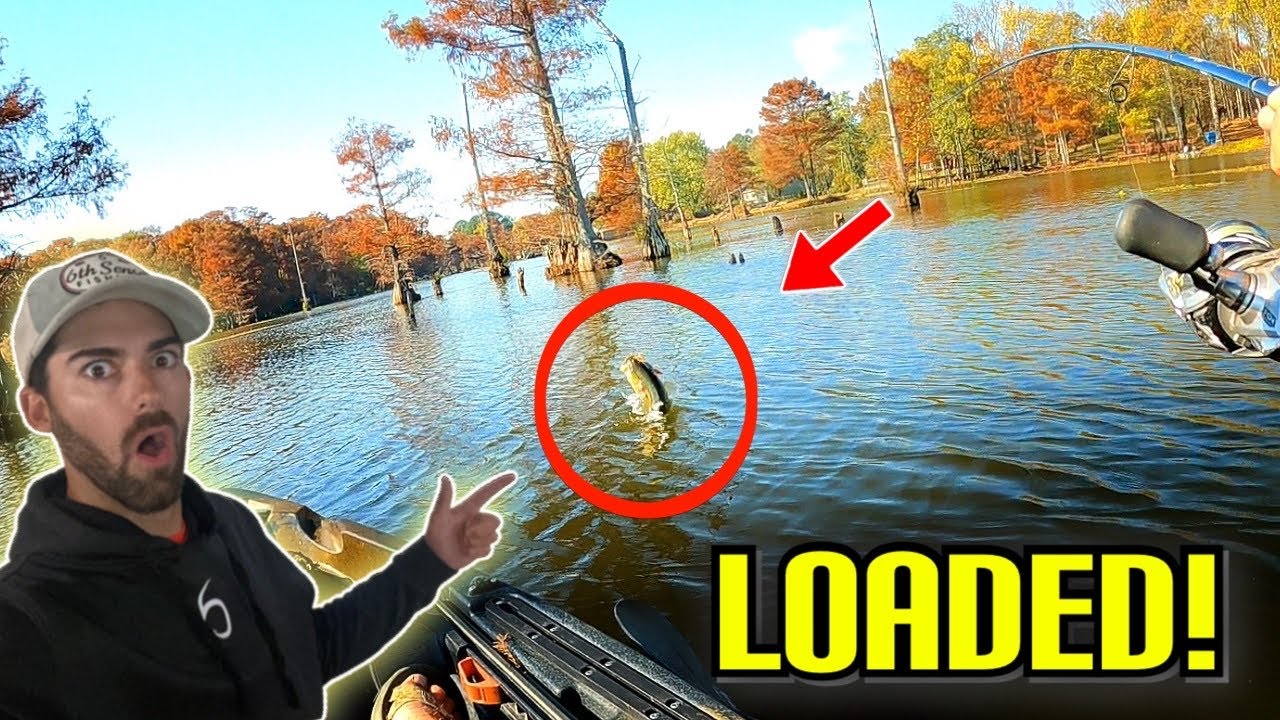 Big ones go nuts on tiny lures during loaded fishing trip