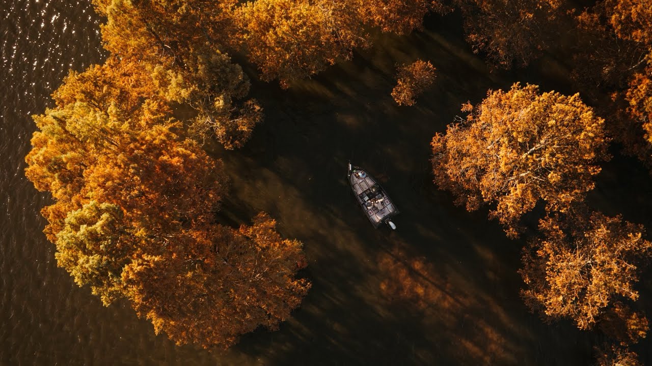 Hit crappie jackpot in swampy lake despite a major issue