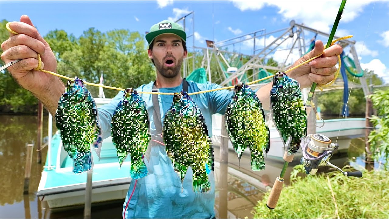 It’s illegal to release these fish alive—catch and cook