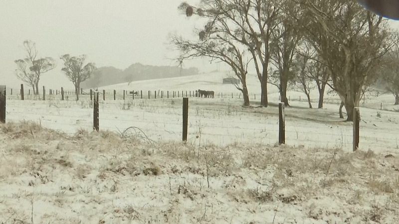 WATCH: Weekend of wild weather brings rare snowfall to towns in Australia