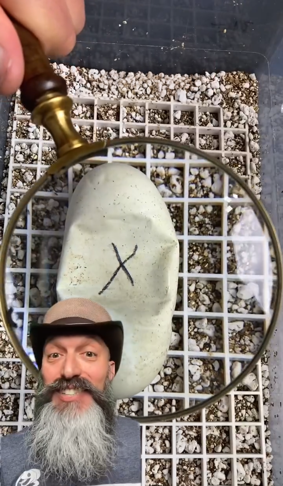 It’s moving inside the egg!